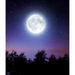 Poem about the Moon and 5 Fun Poetry Activities - The Integrated Teacher