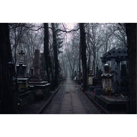 10 Provocative Poems About Death & How To Teach Them - The Integrated ...