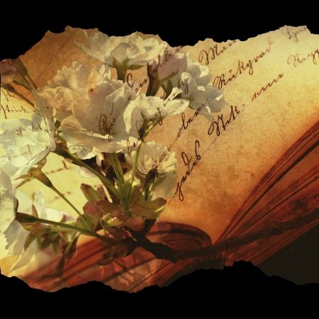 10 Ways to Teach Primary Texts Easily and Effectively - The Integrated ...